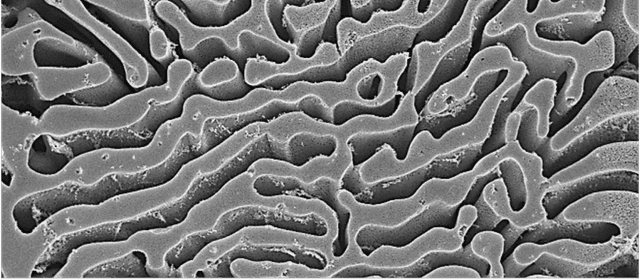 CryoStruct™ Metal Foam Technology - CellMo