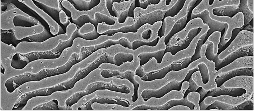 CryoStruct™ Metal Foam Technology - CellMo