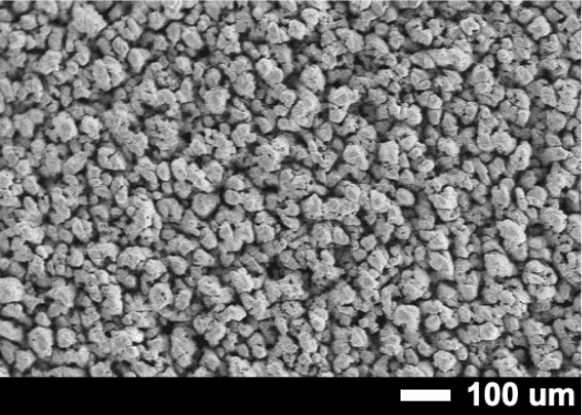 CryoStruct™ Metal Foam Technology - CellMo